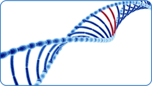 Why Shield for Colon Cancer Screening | Shield™ for Patients